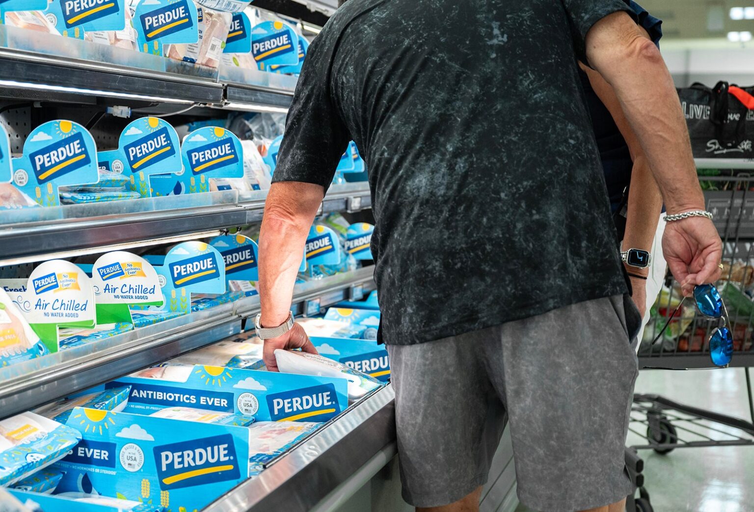 Commercial Refrigeration Solutions | Climate Pros